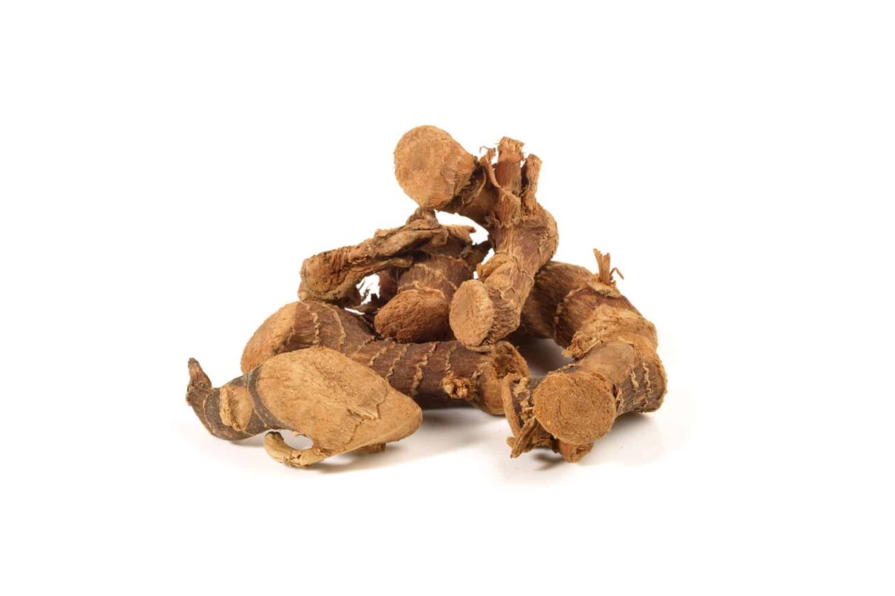 Pflanzenlexikon - your-life.guide